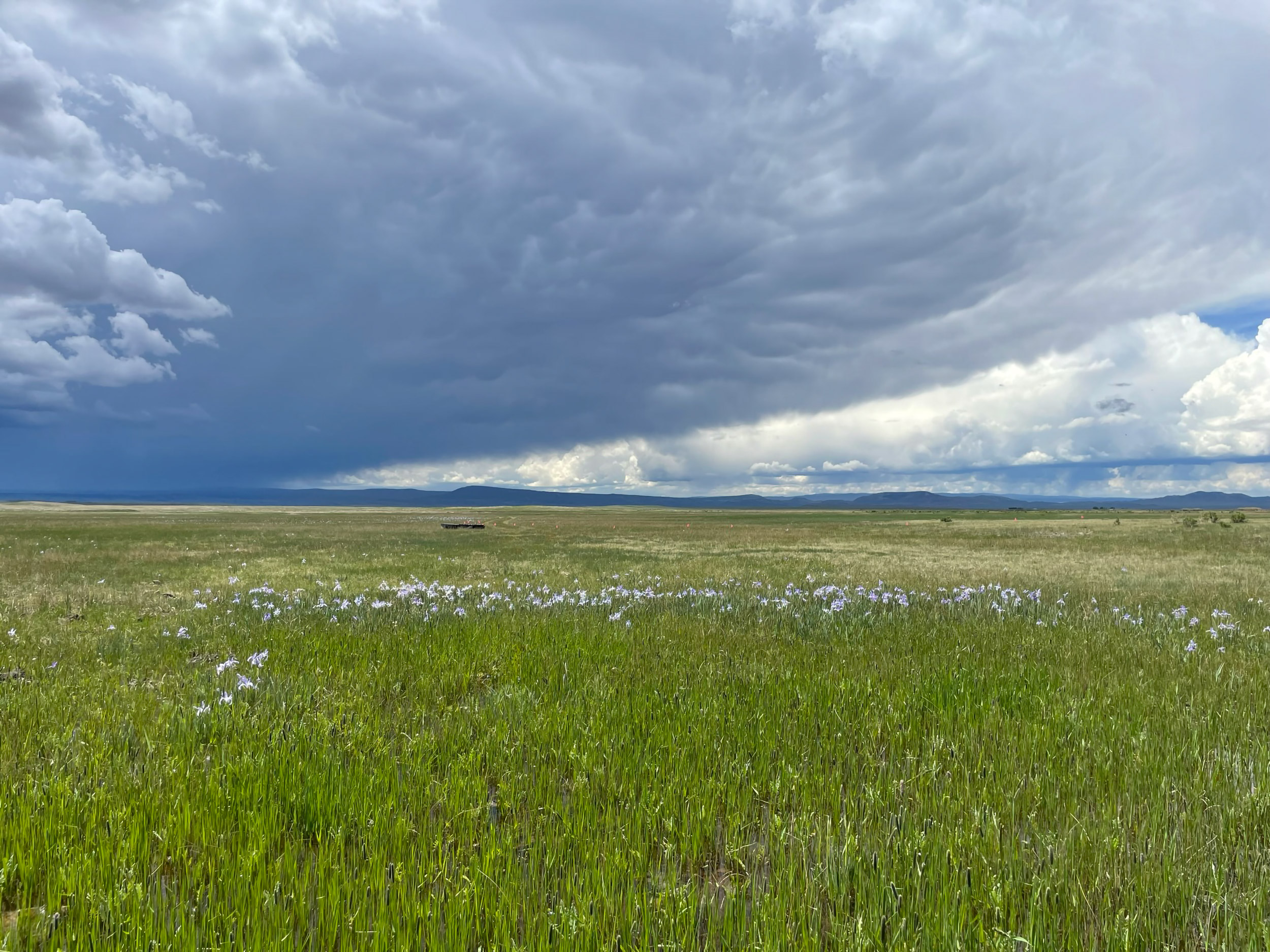 America gets two new protected areas for wildlife