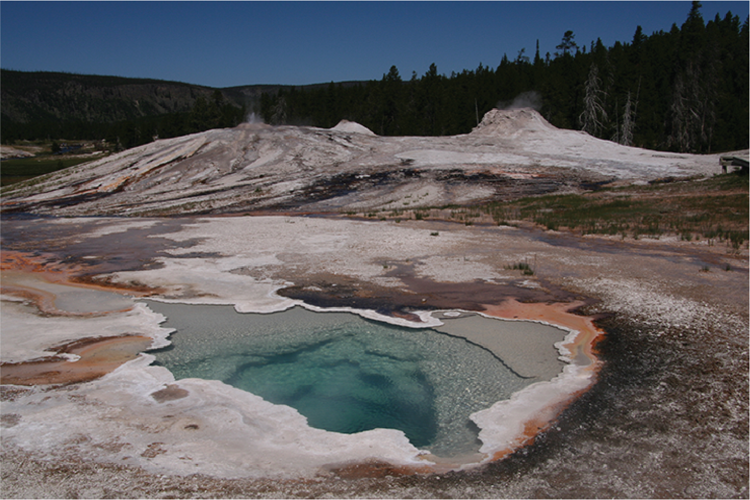 Minerals in hot springs performed a key chemical reaction for early ...