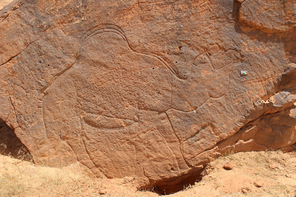 Human Origins: Rock art guided travelers to water in prehistoric Saudi ...